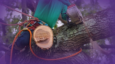 Irvine Injury Attorney | Alvandi Law Group